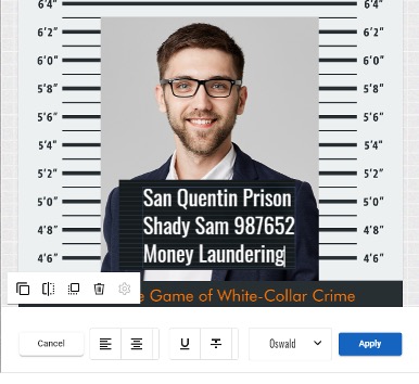 My Mugshots - Fraud